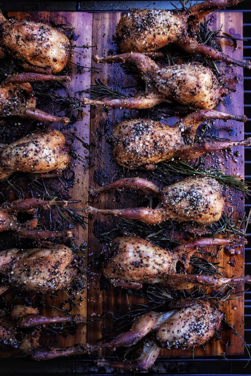 Hunting Desert Game Birds | Wood Plank-Smoked Gambel's Quail over Live Fire
